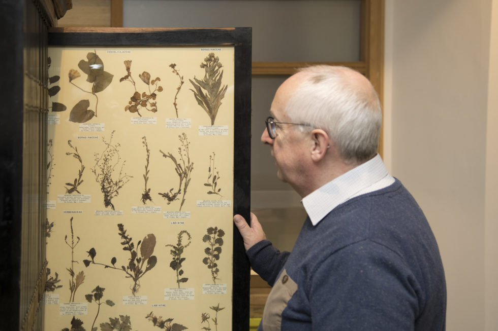 Herbarium in Focus – Exhibition brings to life the power of plants ...